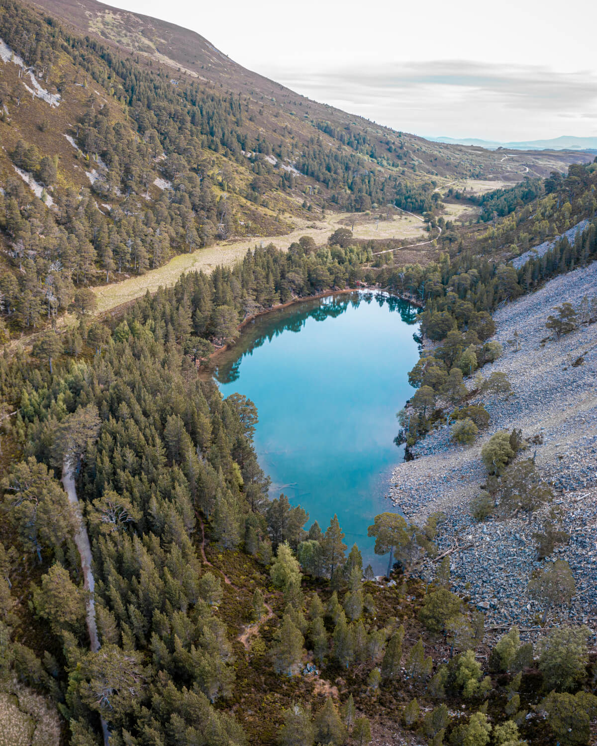 Aviemore's Top Six Summer Activities - highlands2hammocks