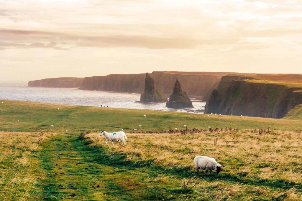 North Coast 500 Highlights - The Best Sights Along the NC500 ...