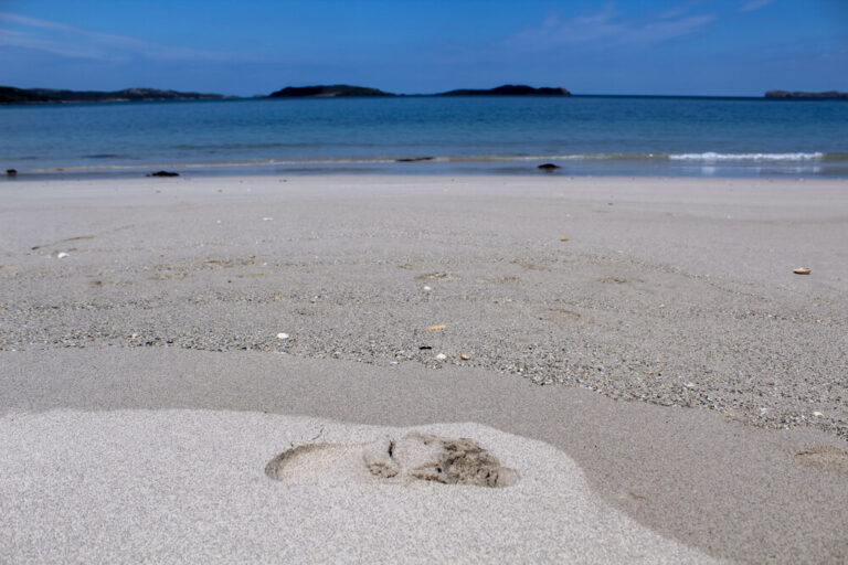 Complete List of the Best North Coast 500 Campsites in 2024 ...