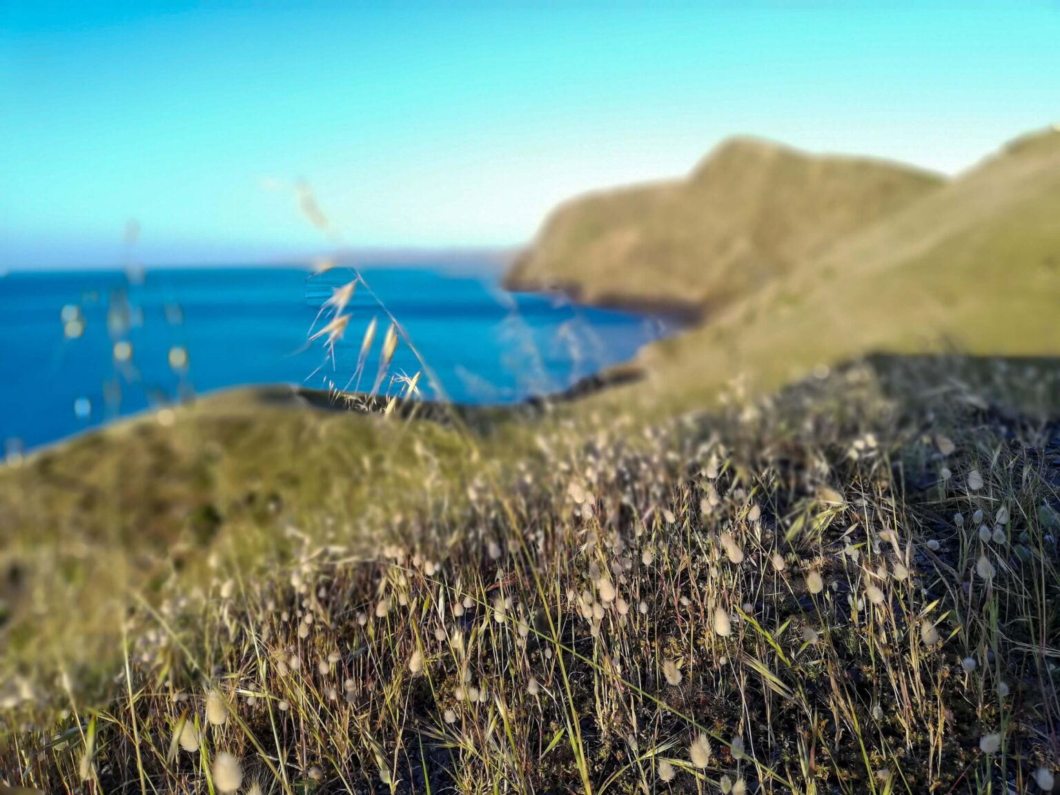 Second Valley, South Australia - WHAT, WHERE AND WHY.. - highlands2hammocks
