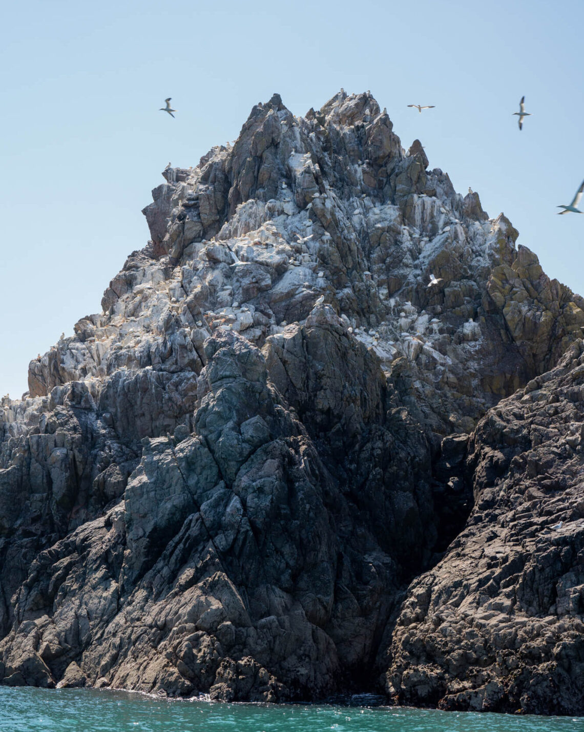 The Best Walks in Alderney - highlands2hammocks