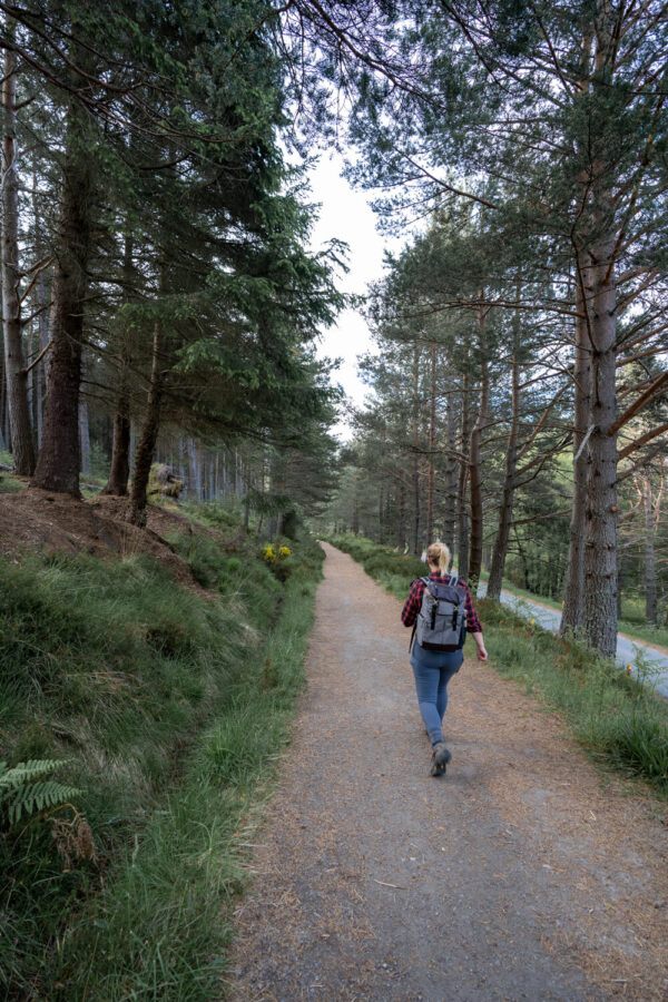 Green Loch Aviemore (An Lochan Uaine) - An Unmissable Walk ...