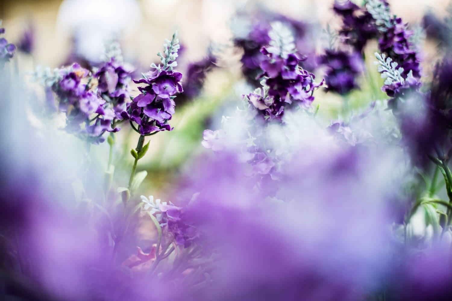 The 11 Best Things to do in Warwick, UK - highlands2hammocks