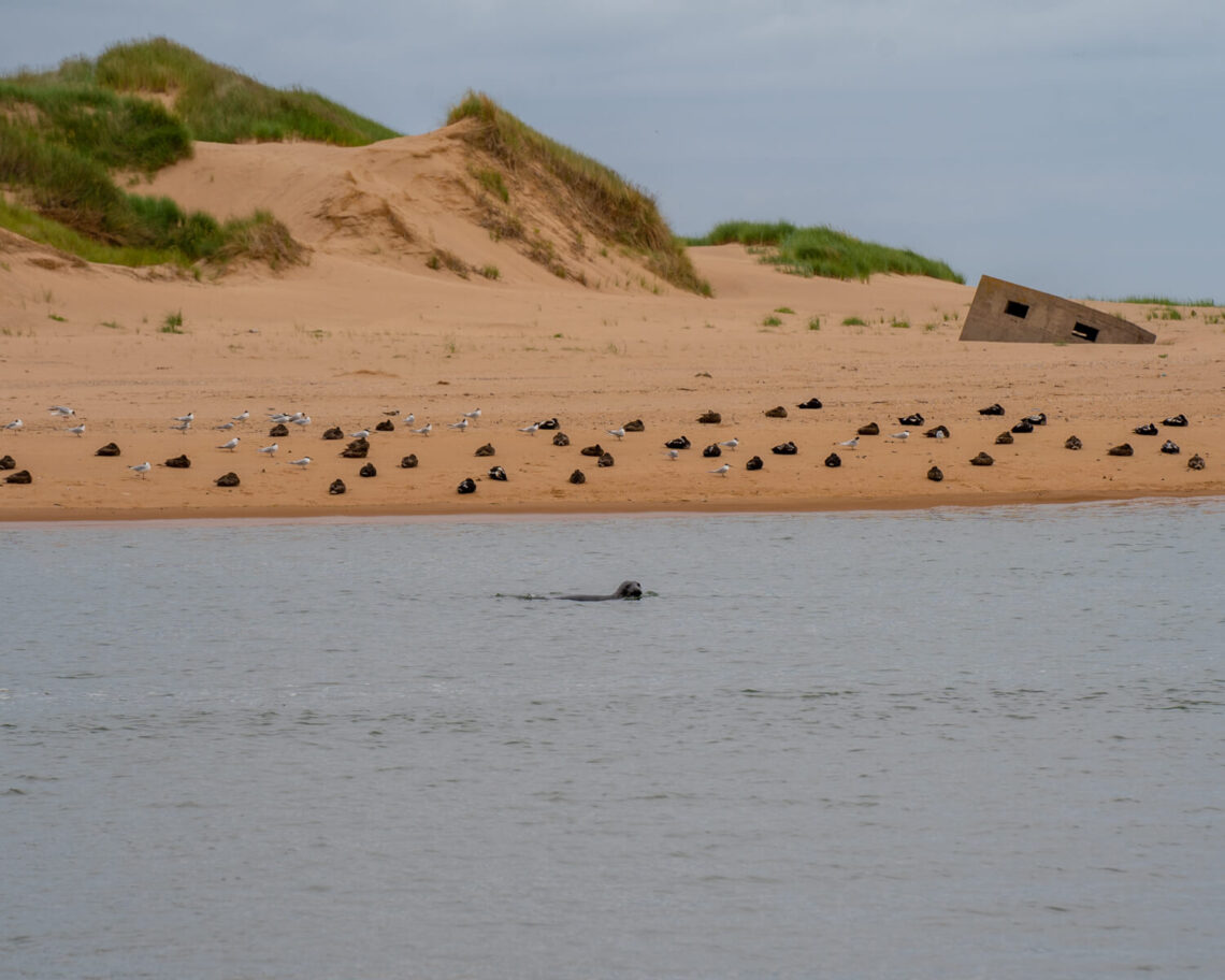 North East 250 Itinerary - The Ultimate 5 day Aberdeenshire Road Trip ...