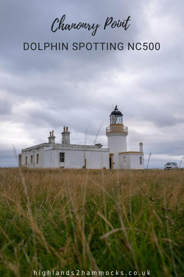 Chanonry Point Dolphin Spotting - The Best Place near Inverness ...