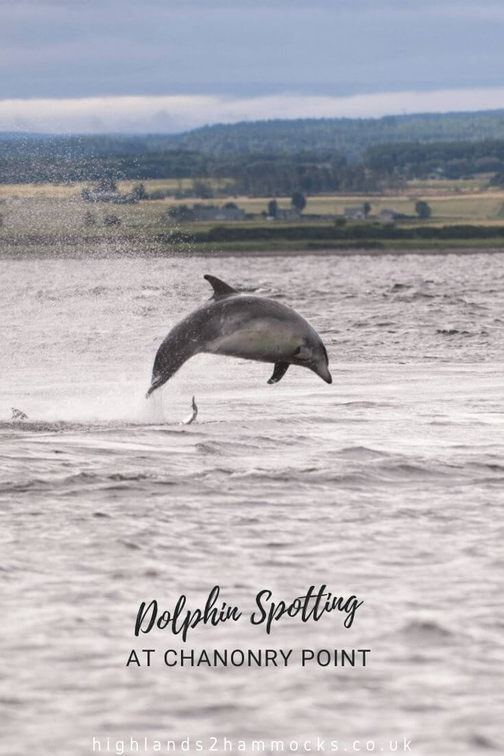 Chanonry Point Dolphin Spotting - The Best Place near Inverness ...