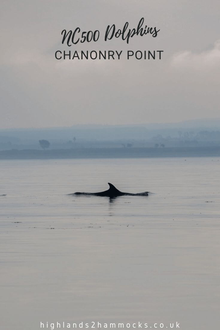 Chanonry Point Dolphin Spotting - The Best Place near Inverness ...