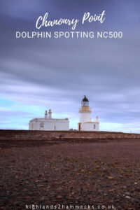 Chanonry Point Dolphin Spotting - The Best Place near Inverness ...