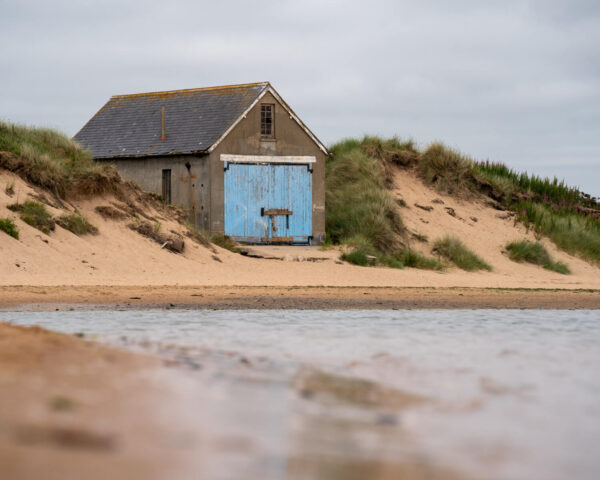 Newburgh Seal Beach Aberdeenshire - Seal Spotting on the NE250 ...