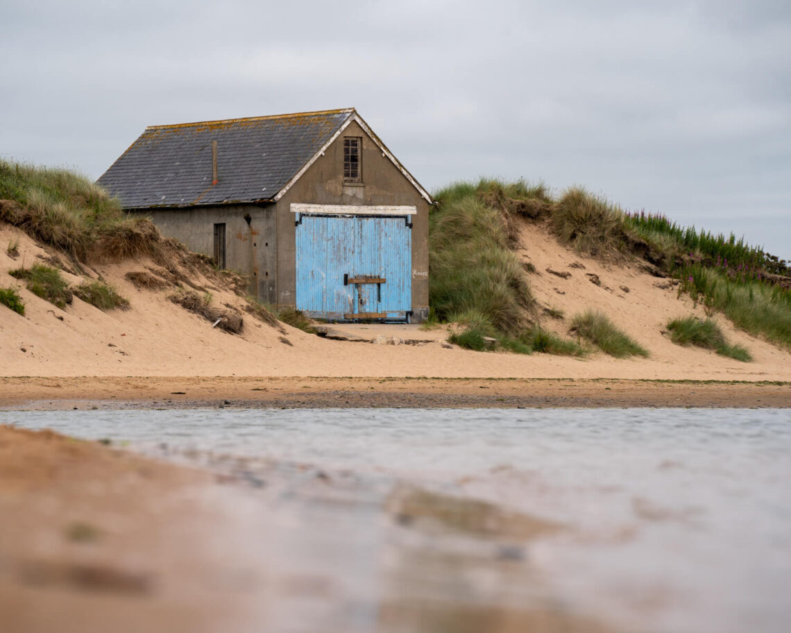Newburgh Seal Beach Aberdeenshire - Seal Spotting on the NE250 ...