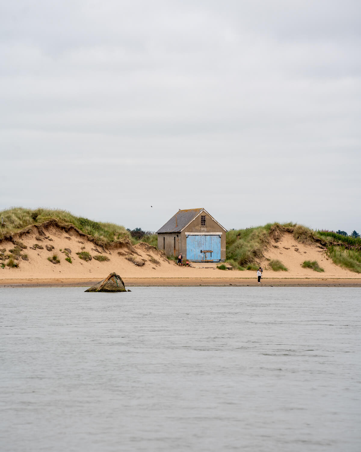 Newburgh Seal Beach Aberdeenshire - Seal Spotting on the NE250 ...