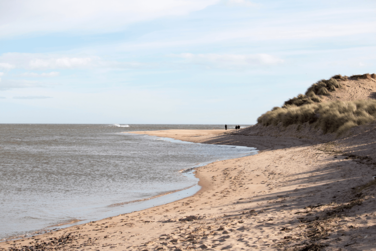 Newburgh Seal Beach Aberdeenshire - Seal Spotting on the NE250 ...