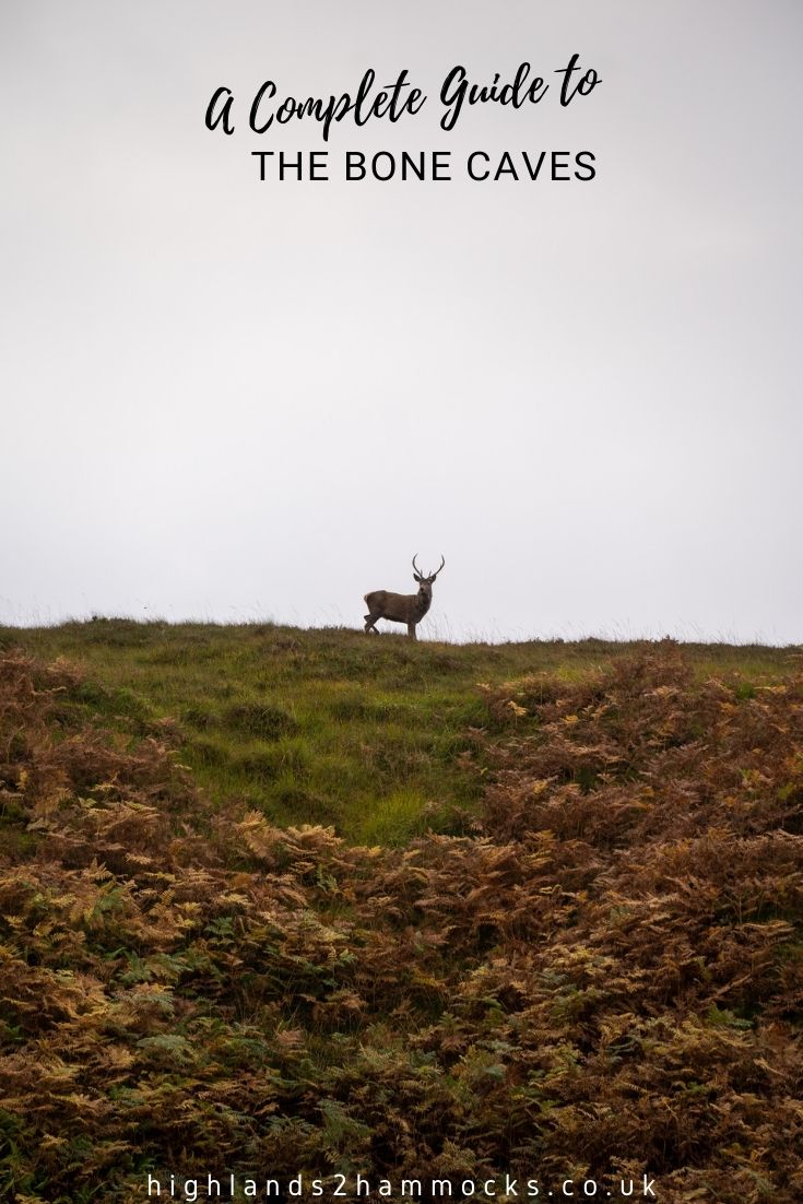 Inchnadamph Bone Caves (Allt nan Uamh) - The Complete Guide (inc ...