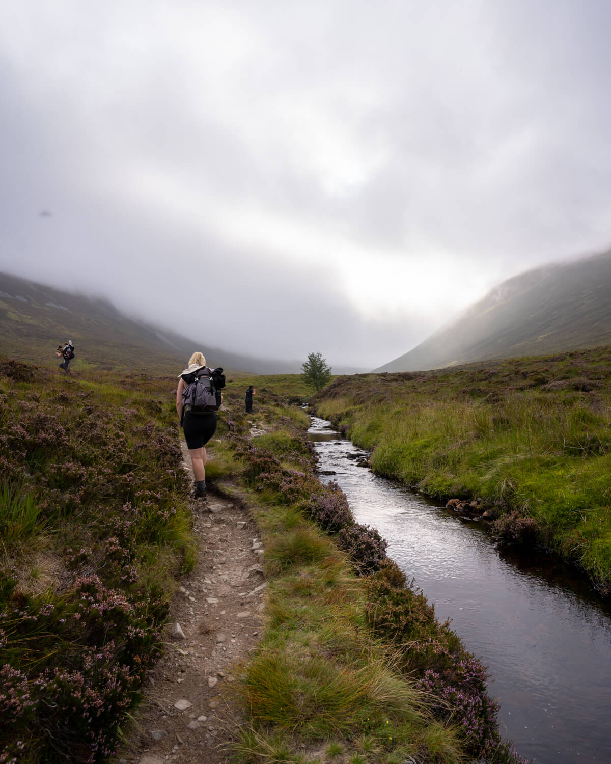 A Guide to Hiking Ben Wyvis - A Scottish Munro near Inverness ...