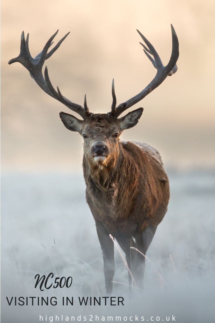 How to Prepare for Travelling the NC500 in Winter - What to Expect ...