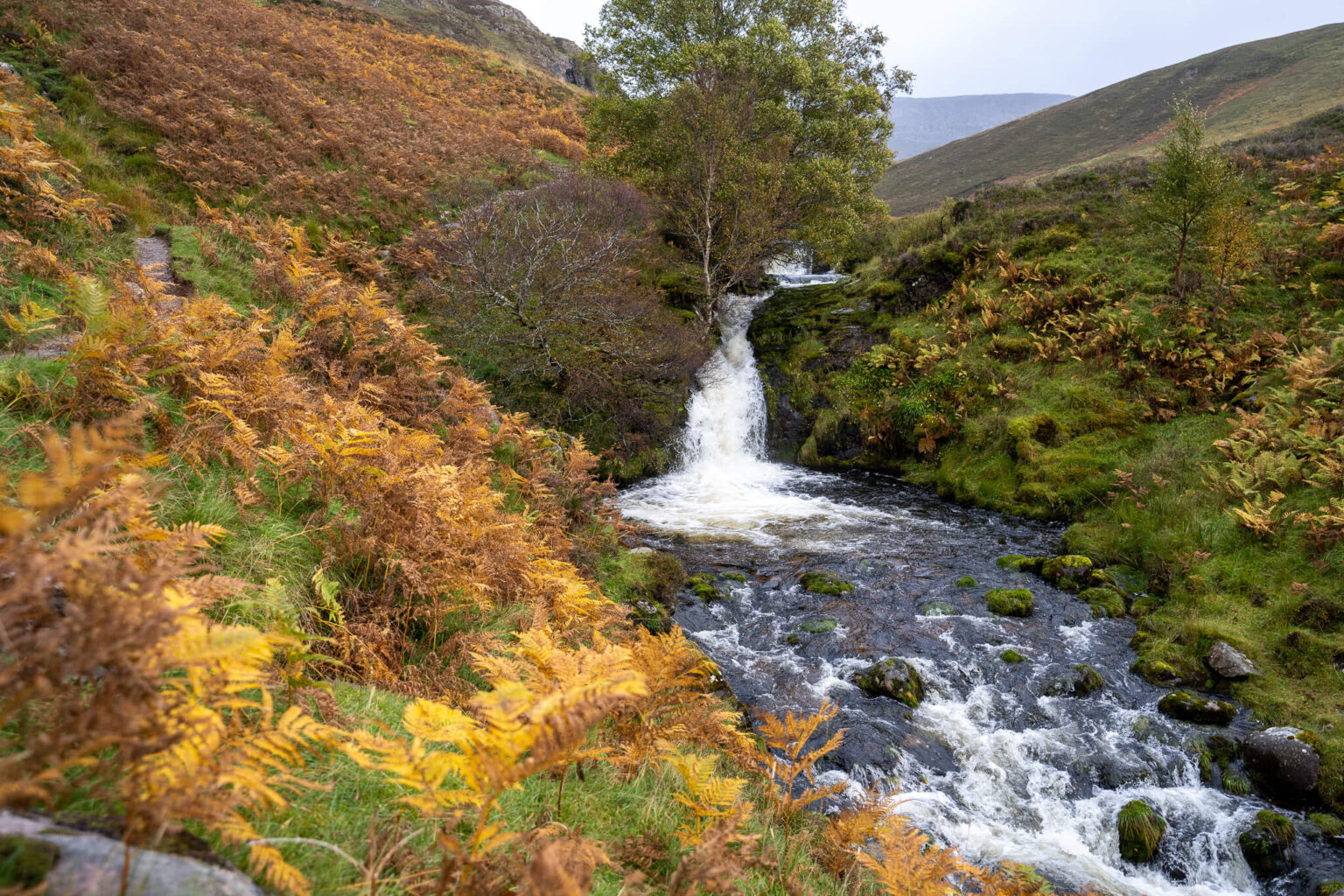 Inchnadamph Bone Caves (Allt nan Uamh) - The Complete Guide (inc ...