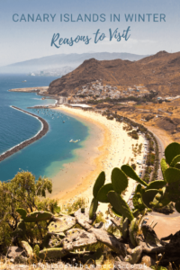 The Top 6 Reasons to Visit the Canary Islands in Winter ...